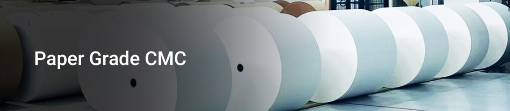 Paper Grade CMC – Hi-Tech lifescience